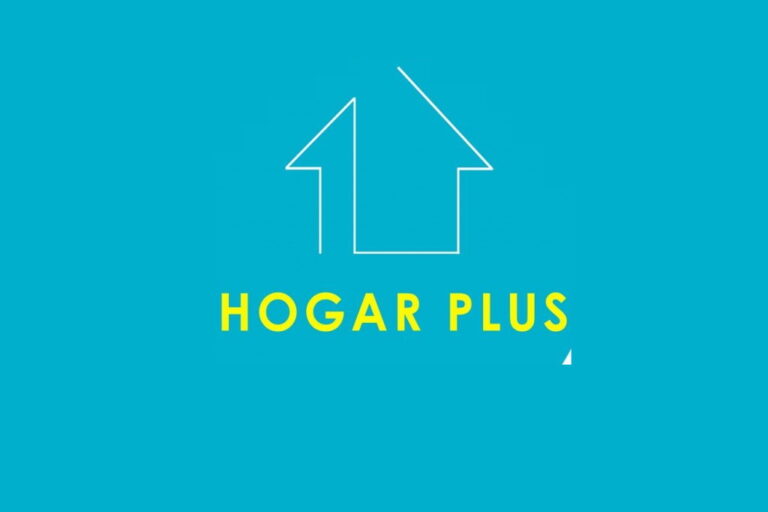 Hogar Plus Basar - ACSA Algemesí